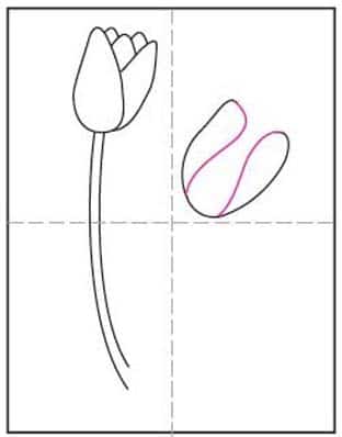 Draw a Tulip · Art Projects for Kids