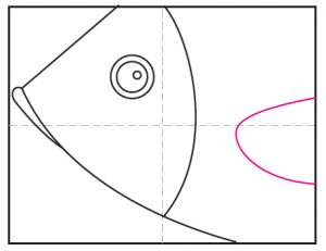 How to Draw and Paint a Fish Head: Easy Watercolor Resist Art Project