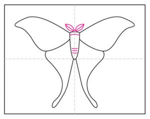 How to Draw a Moth: Easy Step-by-Step Art Lesson for Kids