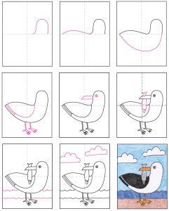 How to Draw a Seagull | Seagull Coloring Page