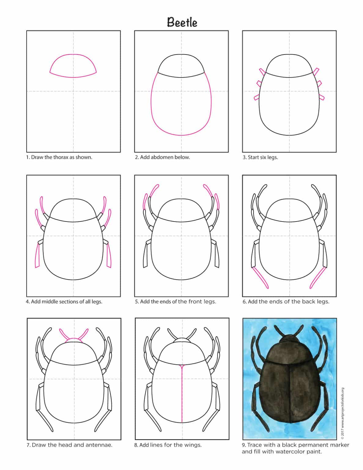 How to Draw a Beetle: Easy Step-by-Step Art Lesson for Kids