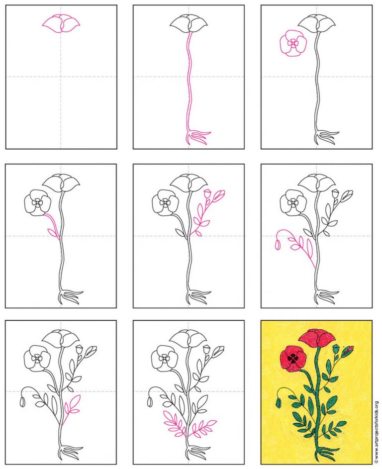 How to Draw a Poppy: Easy Step-by-Step Art Lesson for Kids