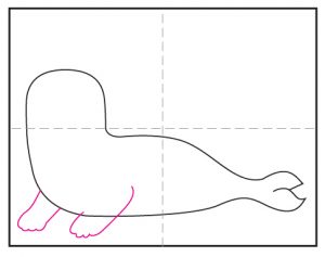 Easy How to Draw a Seal Tutorial and Seal Coloring Page