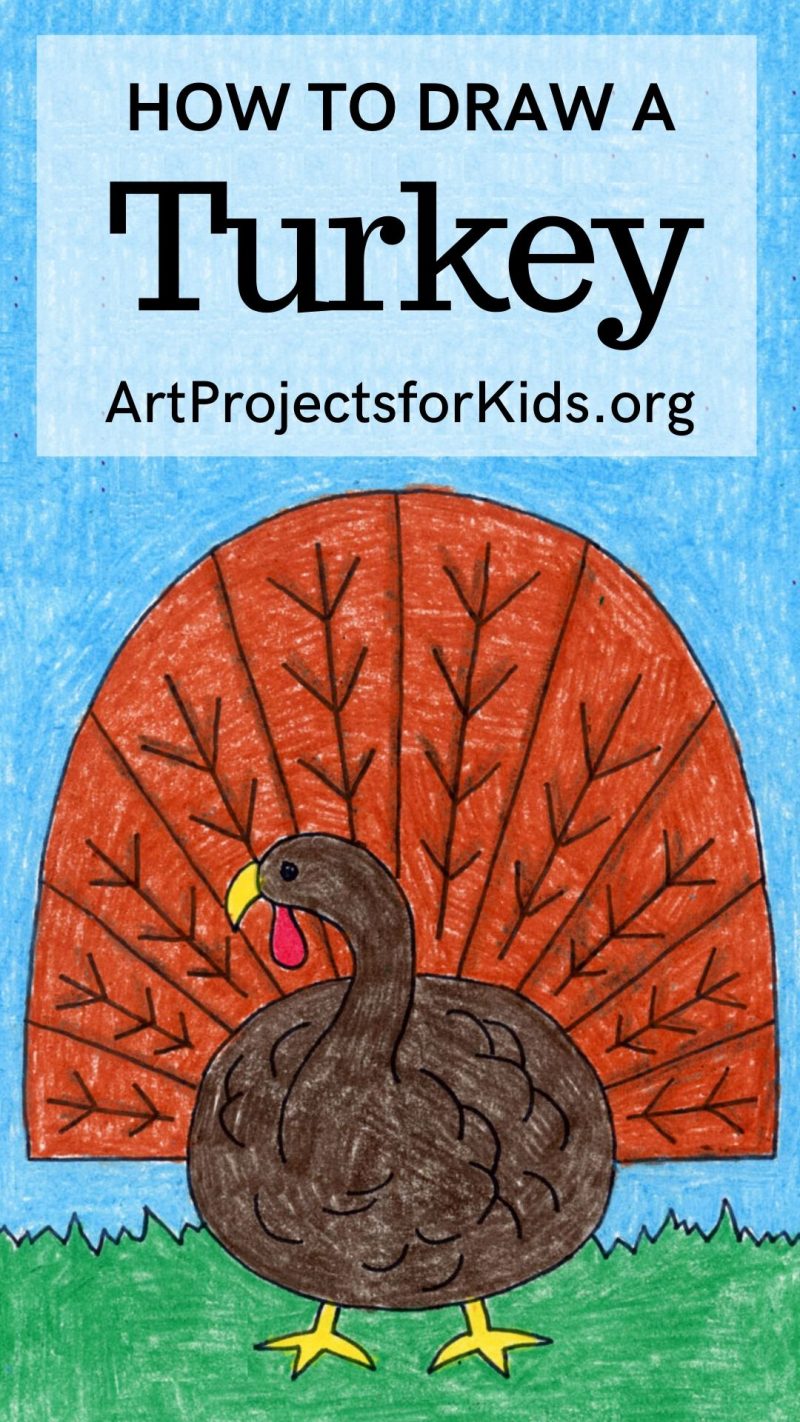 Easy How to Draw Turkey Tutorial and Turkey Coloring Page