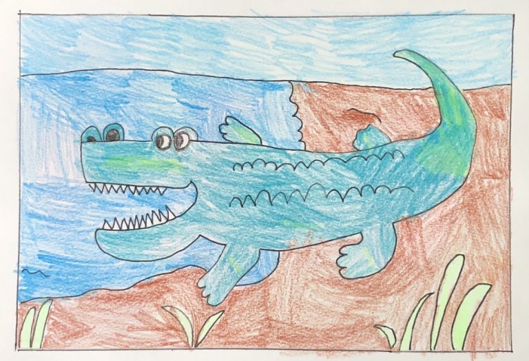 Easy How to Draw an Alligator Tutorial and Alligator Coloring Page