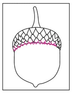 Easy How to Draw an Acorn Tutorial and Acorn Coloring Page