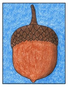 Easy How to Draw an Acorn Tutorial and Acorn Coloring Page