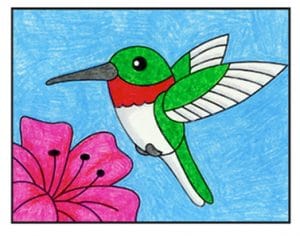 How to Draw a Hummingbird: Easy Step-by-Step Art Lesson for Kids