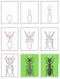Easy How to Draw an Ant Tutorial and Ant Coloring Page