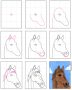 Easy How to Draw a Horse Head Tutorial and Horse Head Coloring Page