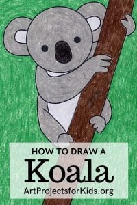 Easy How to Draw a Koala Tutorial Video and Koala Coloring Page