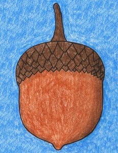How to Draw an Acorn: Easy Step-by-Step Art Lesson for Kids