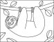 Easy How to Draw a Sloth Tutorial Video and Sloth Coloring Page