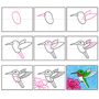 How to Draw a Hummingbird · Hummingbird Coloring Page