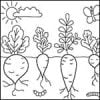 Easy How to Draw Vegetables Tutorial and Vegetables Coloring Page