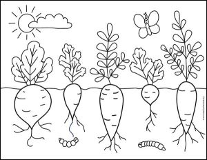 Easy How to Draw Vegetables Tutorial and Vegetable Coloring Page