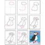 Easy How to Draw a Puffin Tutorial and Puffin Coloring Page