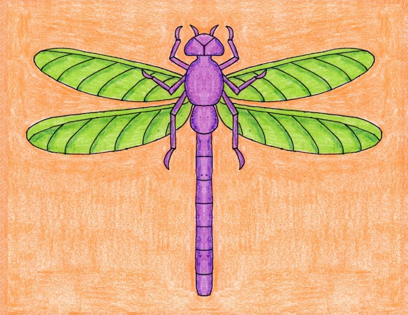 How to Draw a Dragonfly: Easy Step-by-Step Art Lesson for Kids