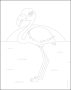 How to Draw a Flamingo: Easy Step-by-Step Art Lesson for Kids