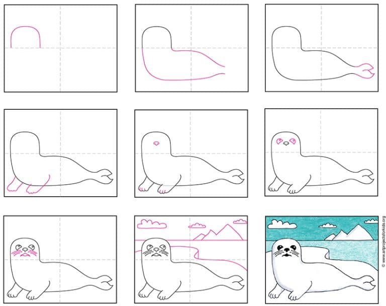 Easy How to Draw a Seal Tutorial and Seal Coloring Page