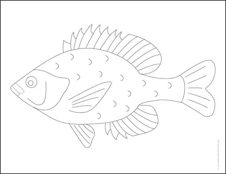 Easy How to Draw a Fish Tutorial Video and Fish Coloring Page