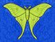 How to Draw a Moth: Easy Step-by-Step Art Lesson for Kids