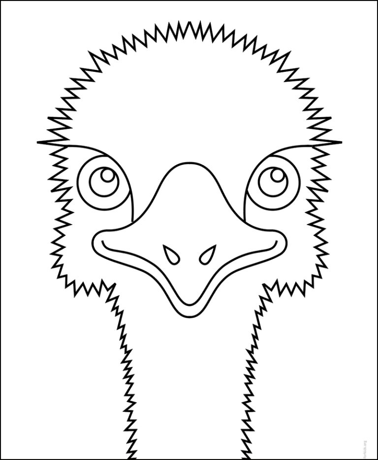 Emu Drawing: Easy How to Draw an Emu Head Step-by-Step Lesson for Kids