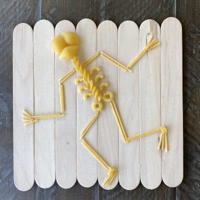 Pasta Skeleton Project: Macaroni Activity Idea for Elementary
