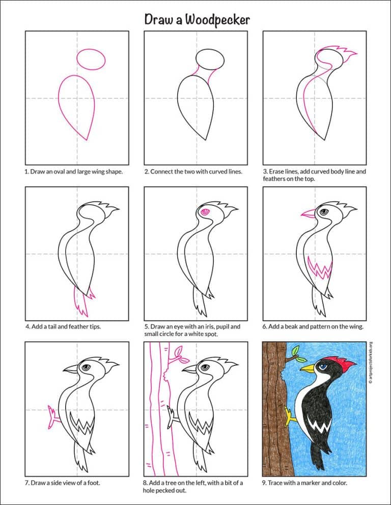 How to Draw a Woodpecker: Easy Step-by-Step Art Lesson for Kids