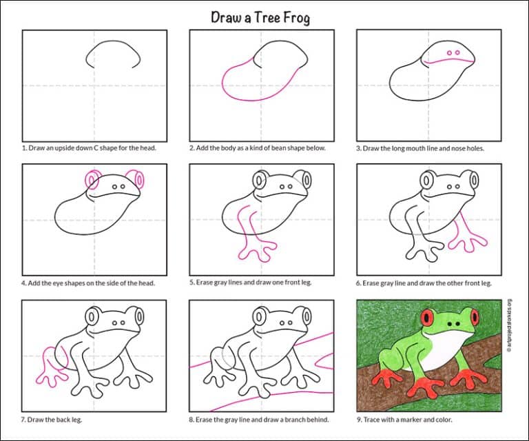 Simple Tips on how to Draw a Tree Frog and Tree Frog Coloring Web page ...
