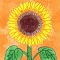 How to Draw a Sunflower for Kids: Easy Directed Drawing Lesson