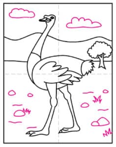 Easy How to Draw an Ostrich Tutorial and Ostrich Coloring Page