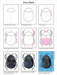 Easy How to Draw a Beetle Tutorial and Beetle Coloring Page