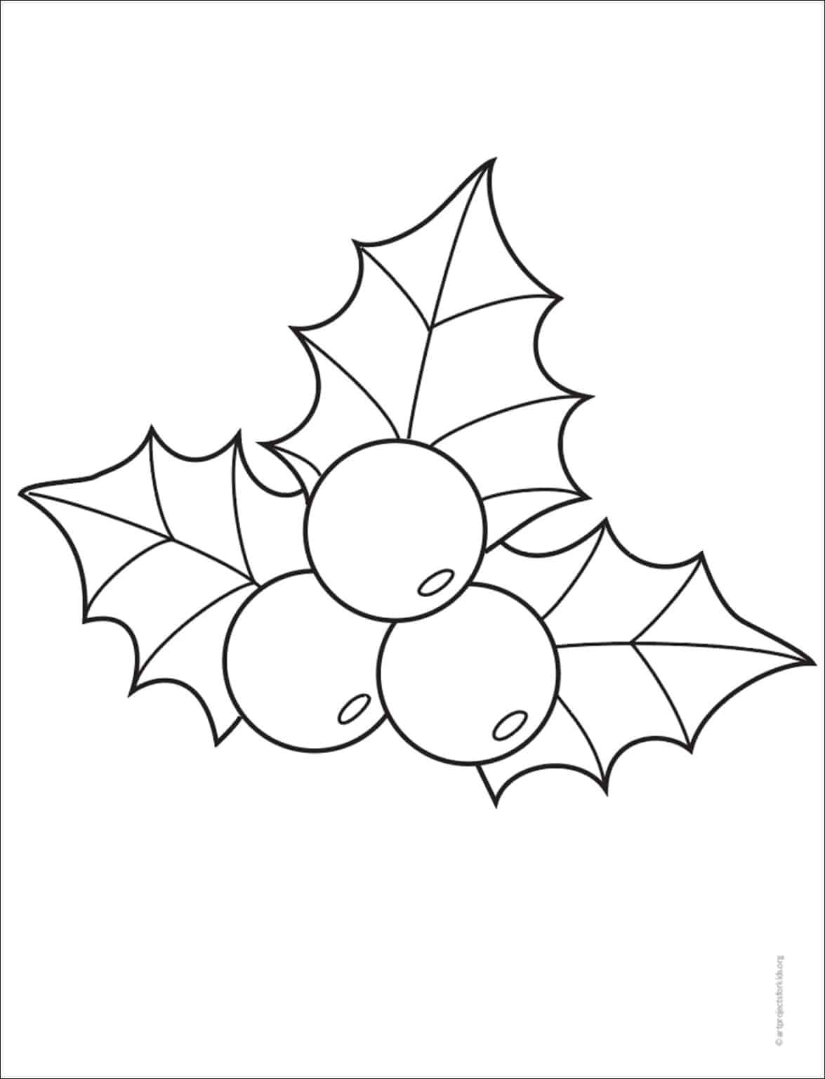 Easy How to Draw Holly Leaves and Berries