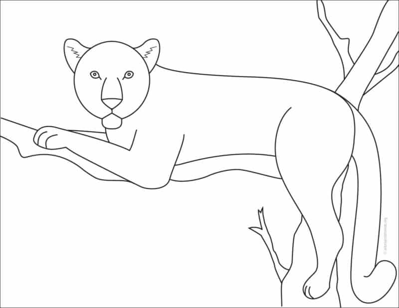 Easy How to draw a Leopard Tutorial Video & Leopard Coloring Page