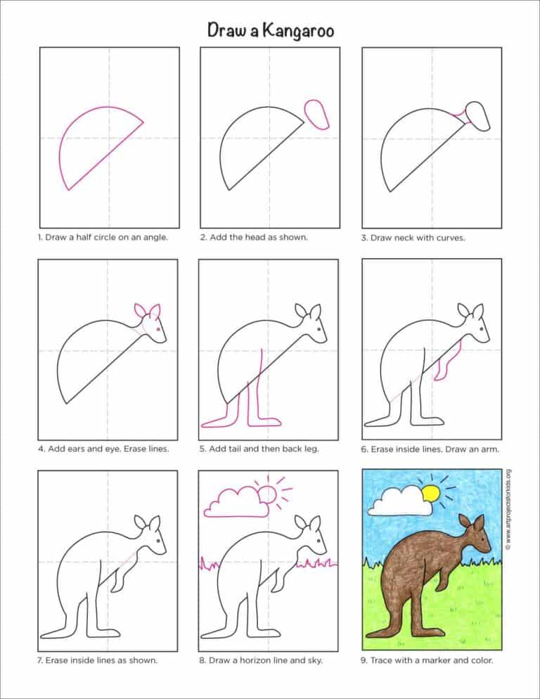 How to Draw a Kangaroo for Kids Lesson (with and without a Baby)