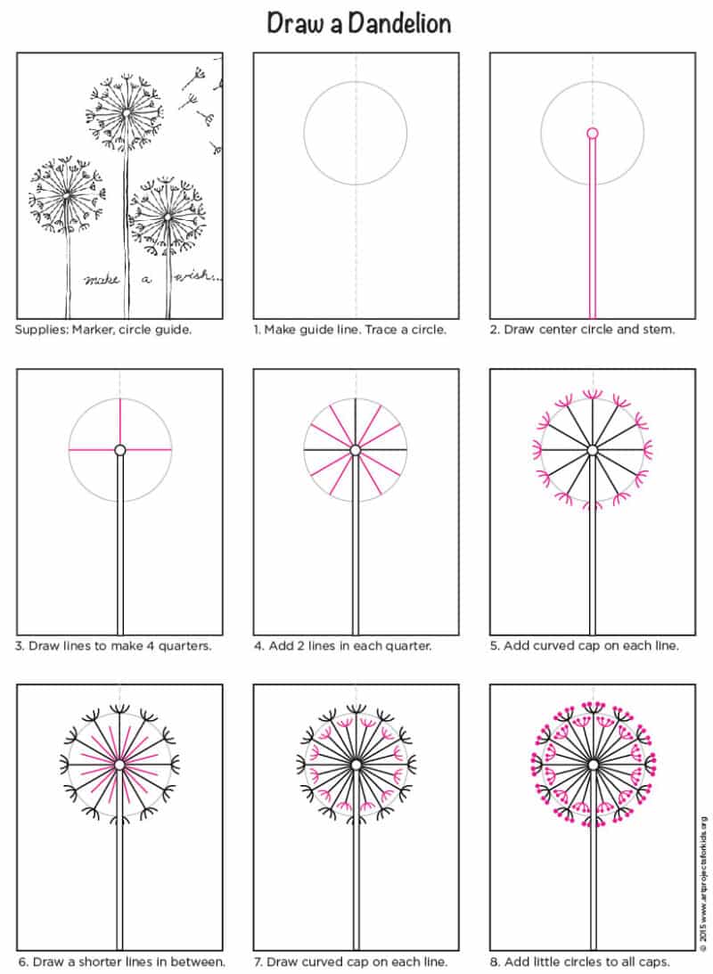 How to Draw a Dandelion Easy, Step-by-Step Art Lesson for Kids