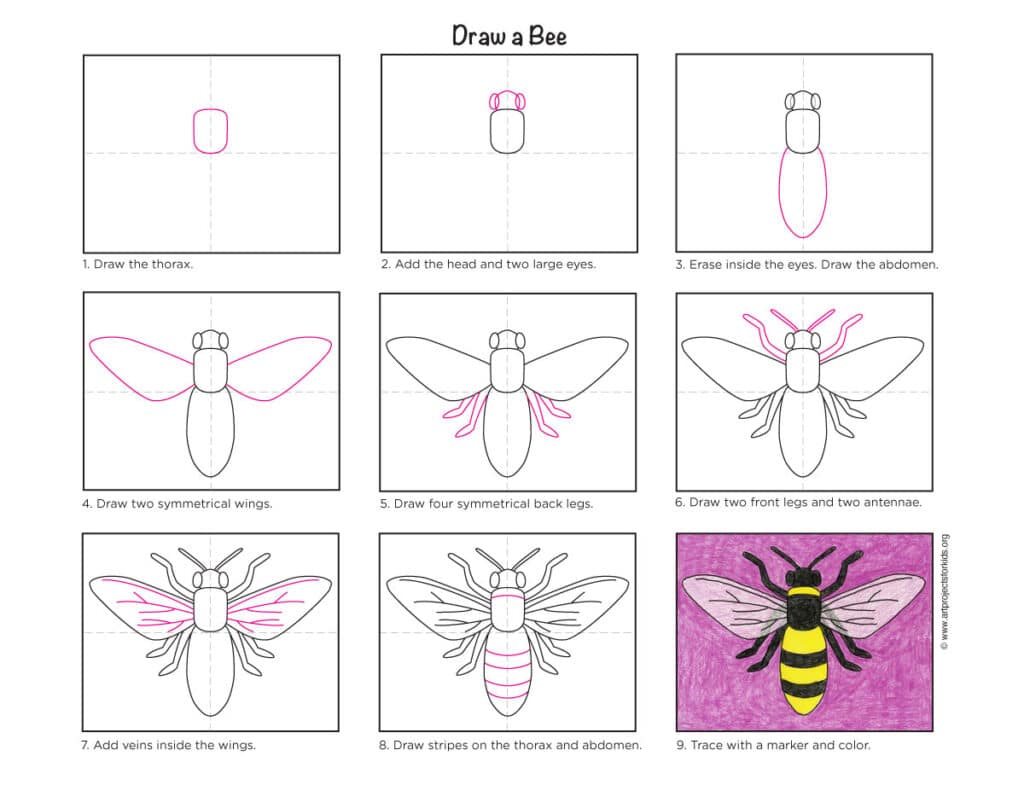 How to Draw a Bee: Easy Step-by-Step Directed Drawing for Kids