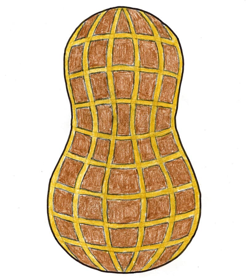 Peanut Drawing: Step-by-Step How to Art Lesson with Video