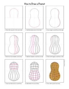 Peanut Drawing: Step-by-Step How to Art Lesson with Video