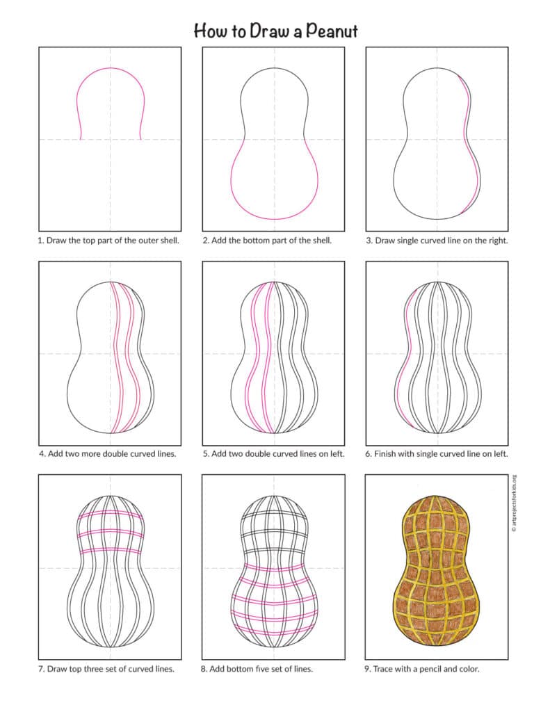 Peanut Drawing: Step-by-Step How to Art Lesson with Video