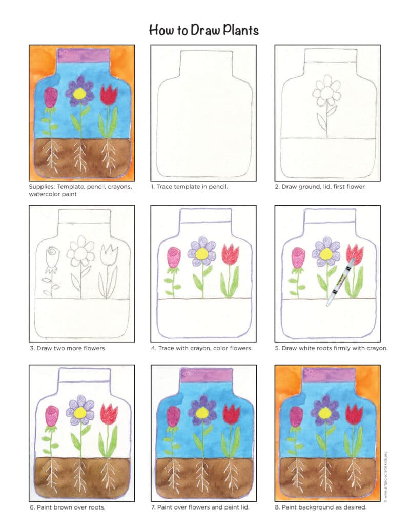 How to Draw a Terrarium: Easy Step-by-Step Art Lesson for Kids